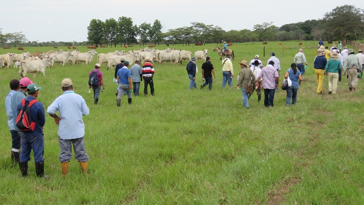 Centro de Investigación Carimagua de AGROSAVIA
